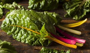 Swiss Chard: 20 Benefits, Nutrition, Side Effects & How Much to Eat