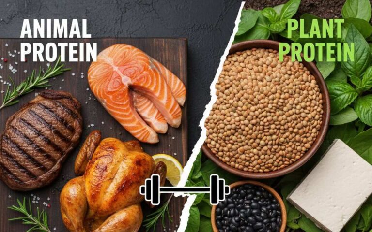 Animal Protein vs Plant Protein: Which is Healthier for You?