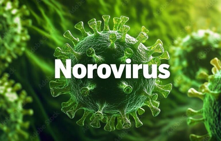 Norovirus: Causes, Symptoms, Treatment, Risks & Prevention